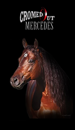 Cromed Out Mercedes – Hacienda Soñador Quarter Horses