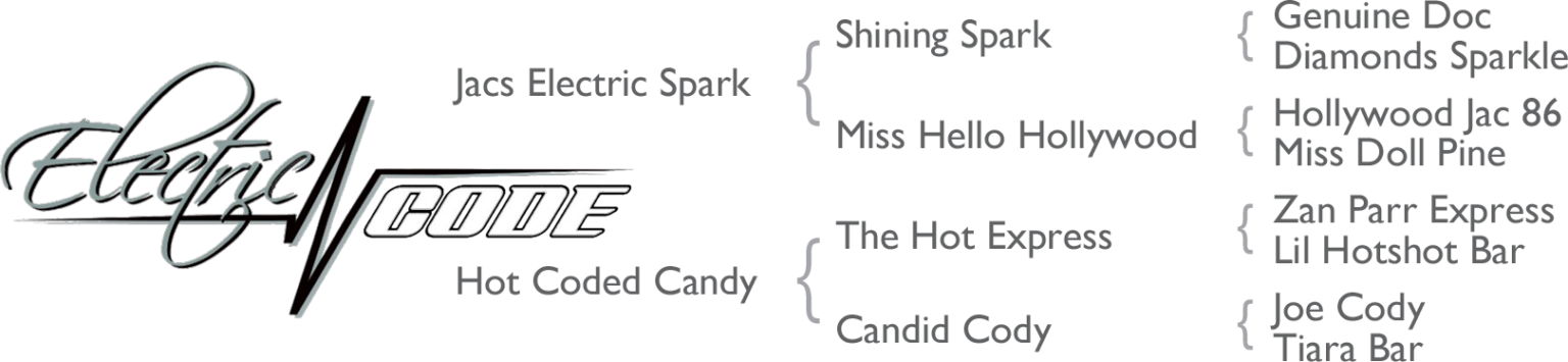 ELECTRIC CODE – Hacienda Soñador Quarter Horses